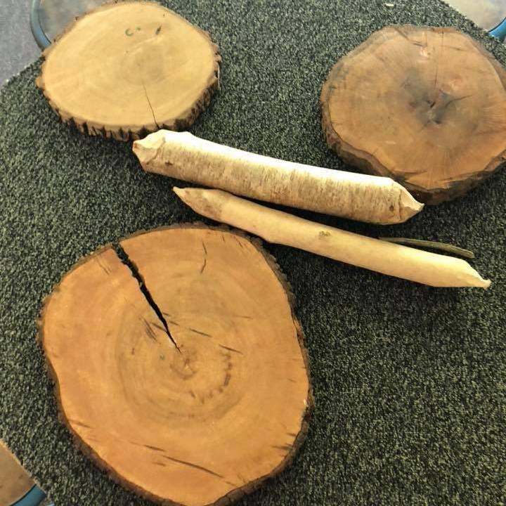 Forestry – Base Camp